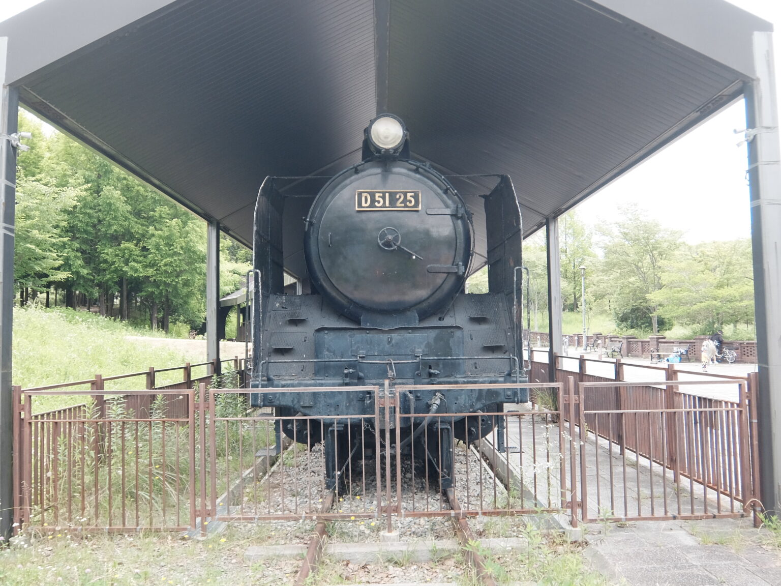 【南ウッディタウン駅至近】D51 25号機【はじかみ池公園】 | 椿ティドットコム